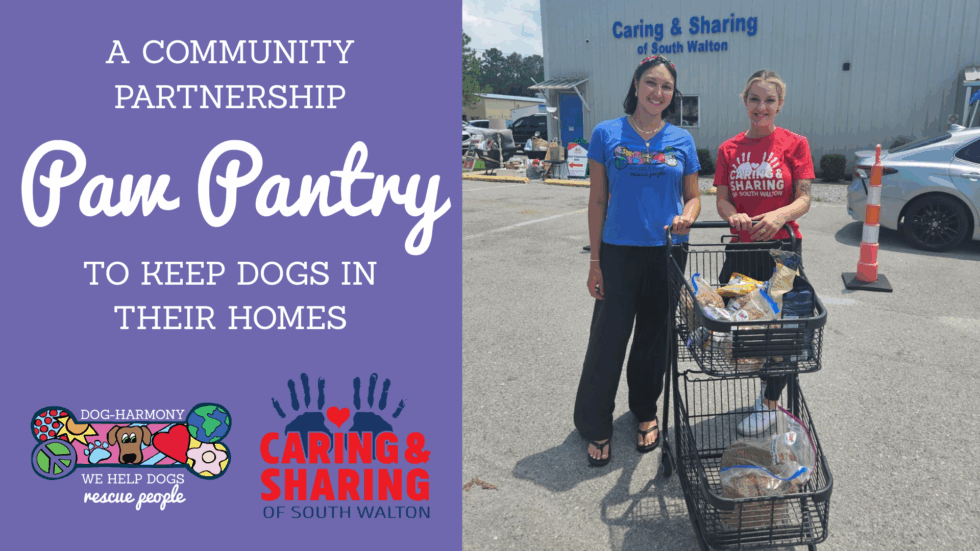 Dog-Harmony Establishes “Paw Pantry” with Caring & Sharing of South Walton | Dog-Harmony