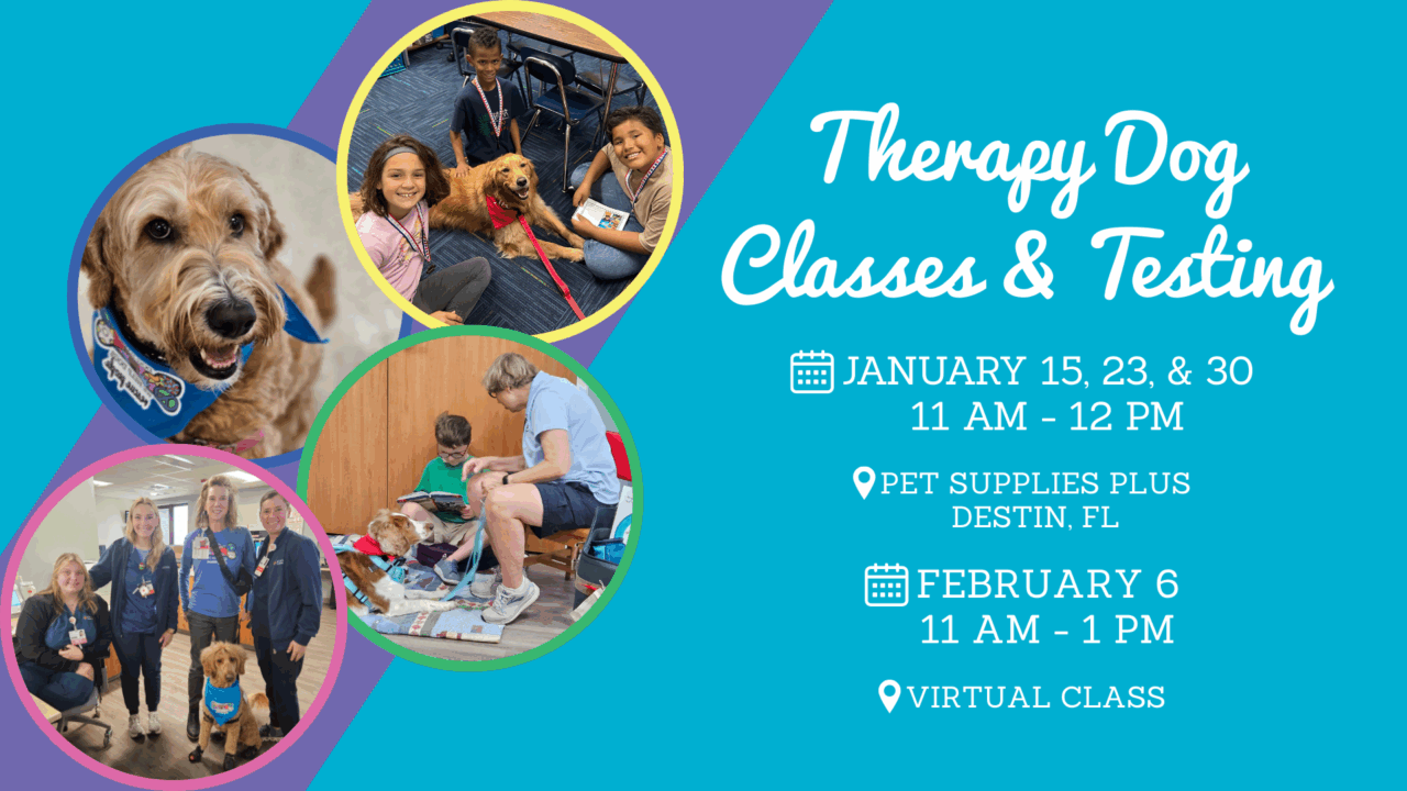 Therapy Dog Classes & Testing | Dog-Harmony